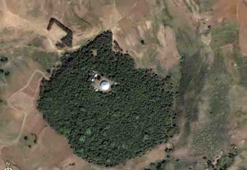 church forest above - Saving Wild